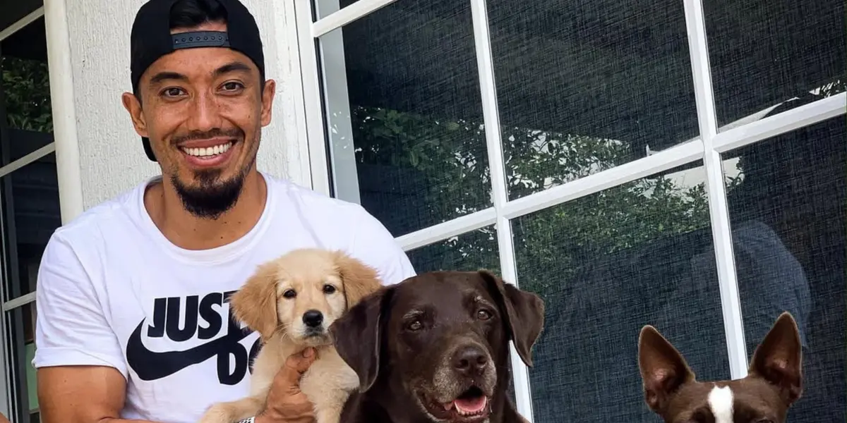 Se fue como un ídolo de Millonarios y vea cuál es el nuevo trabajo de ...