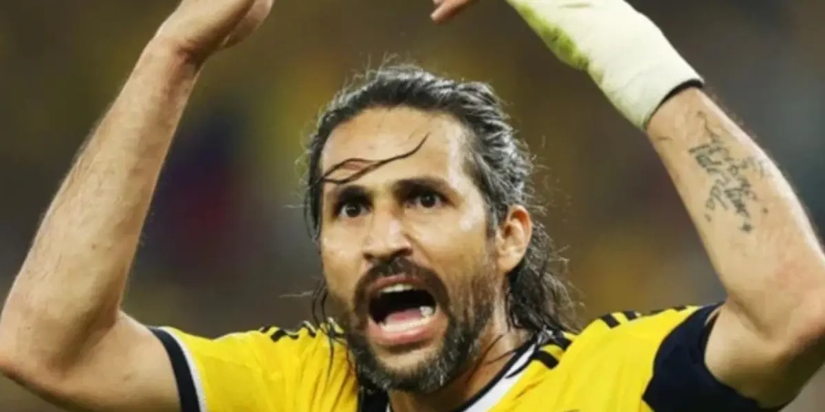 A esto se dedica hoy Mario Alberto Yepes, leyenda de la Selección ...