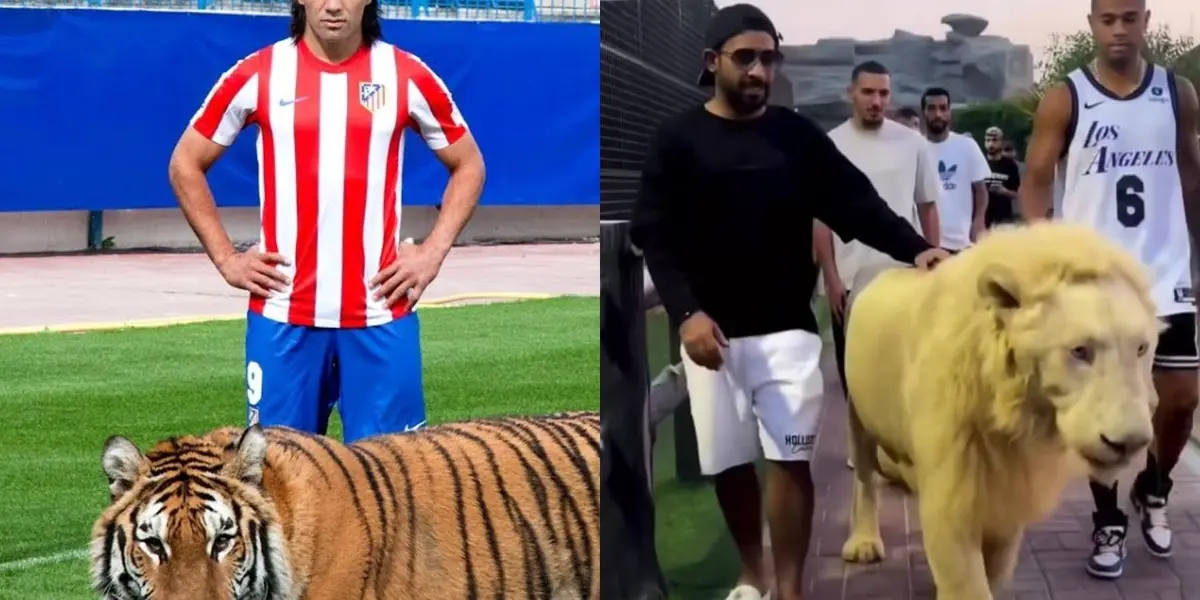 Mientras Falcao domaba tigres, el jugador del Real Madrid que presumió ...